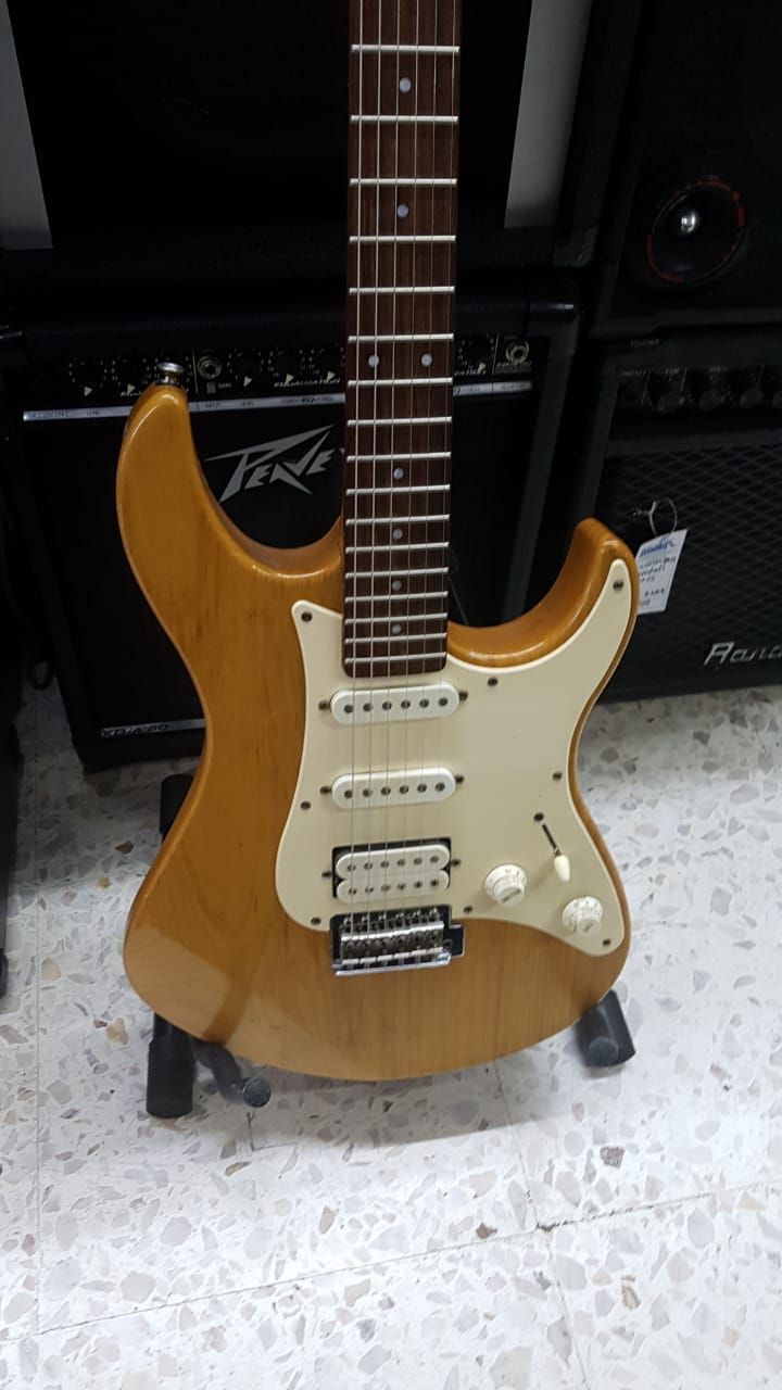 RS-204 – Instrumentos Musicales y Bazar